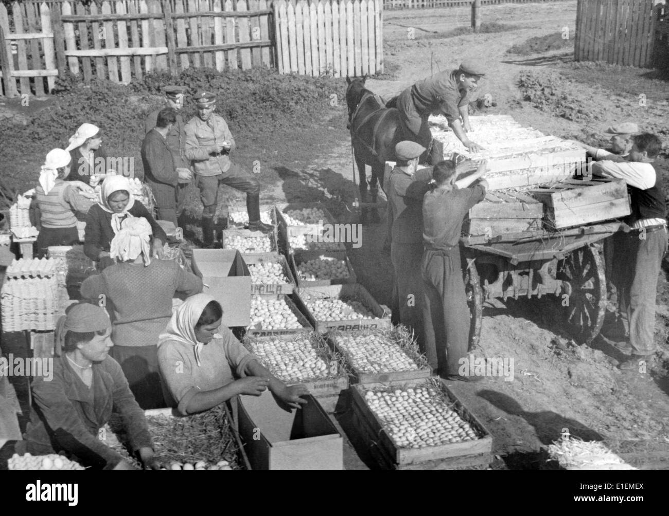 The Nazi propaganda photo shows German soldiers watching Ukrainians ...