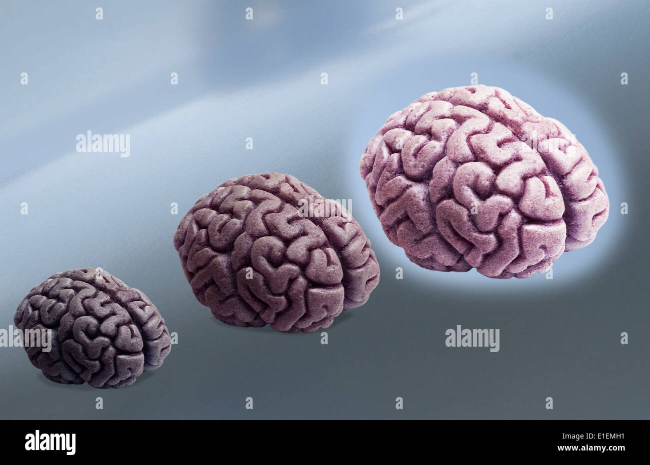 Power the brain hi-res stock photography and images - Alamy