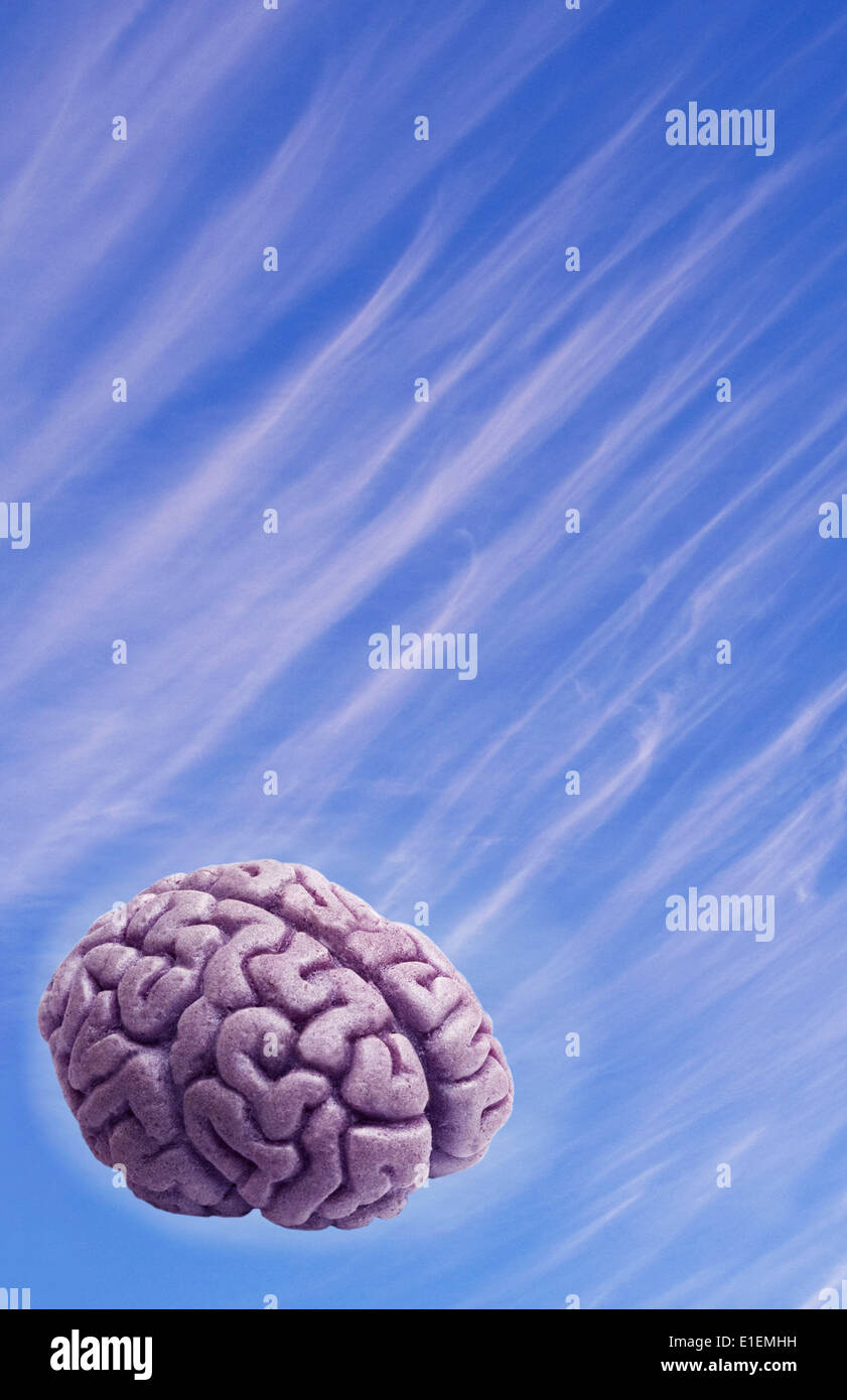 Brain storming hi-res stock photography and images - Alamy