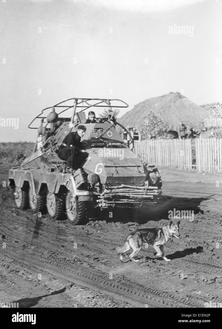 Dog operation vintage High Resolution Stock Photography and Images - Alamy