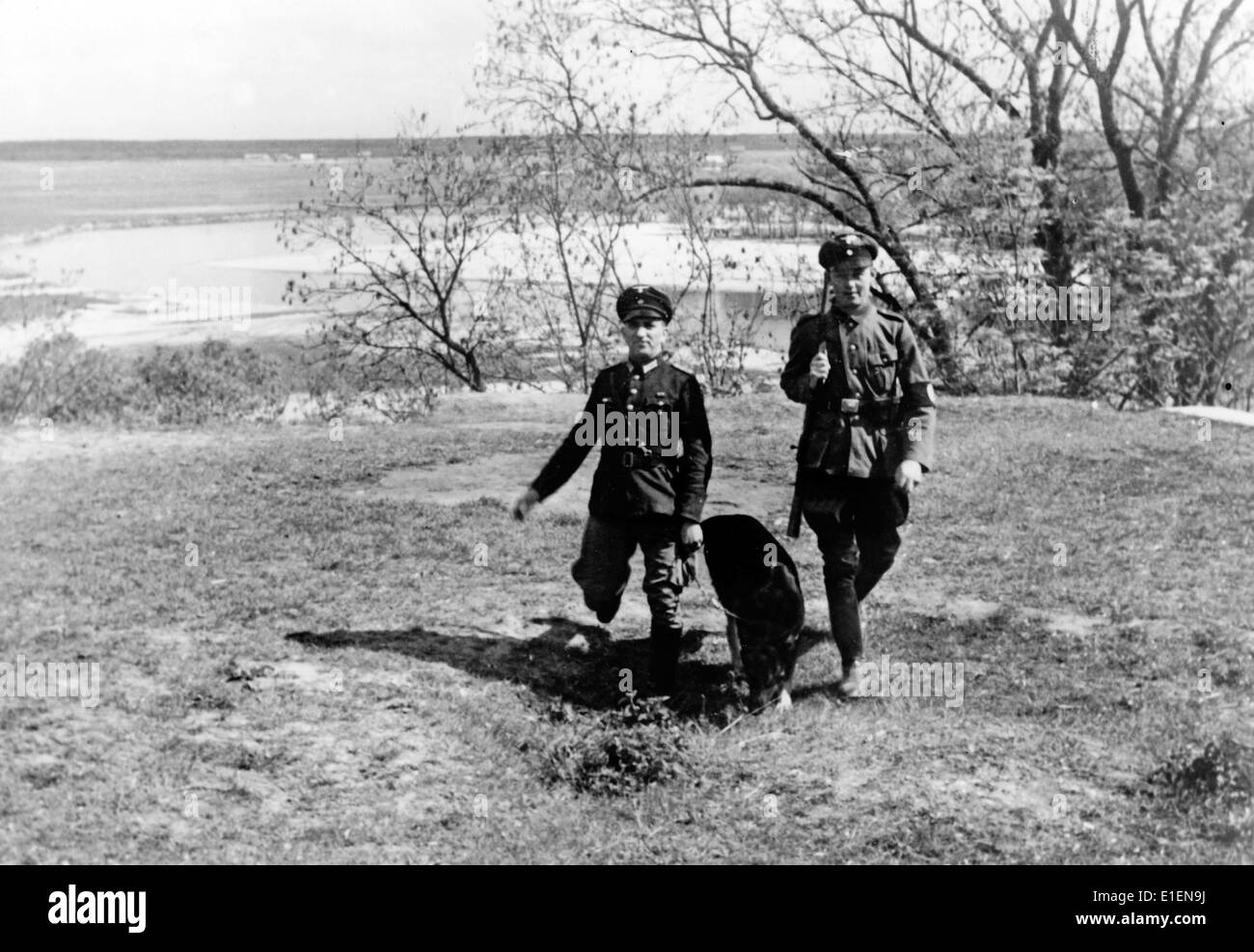 Ww ii dog hi-res stock photography and images - Alamy