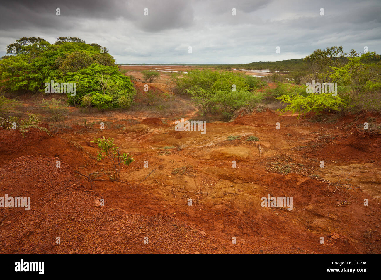 Eroded landscape in Sarigua national park (desert) in the Herrera ...