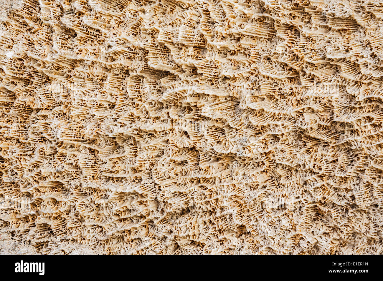 Old limestone structure hi-res stock photography and images - Alamy
