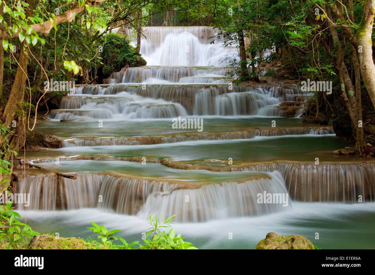 Beauty pond in the deep forest hi-res stock photography and images - Alamy