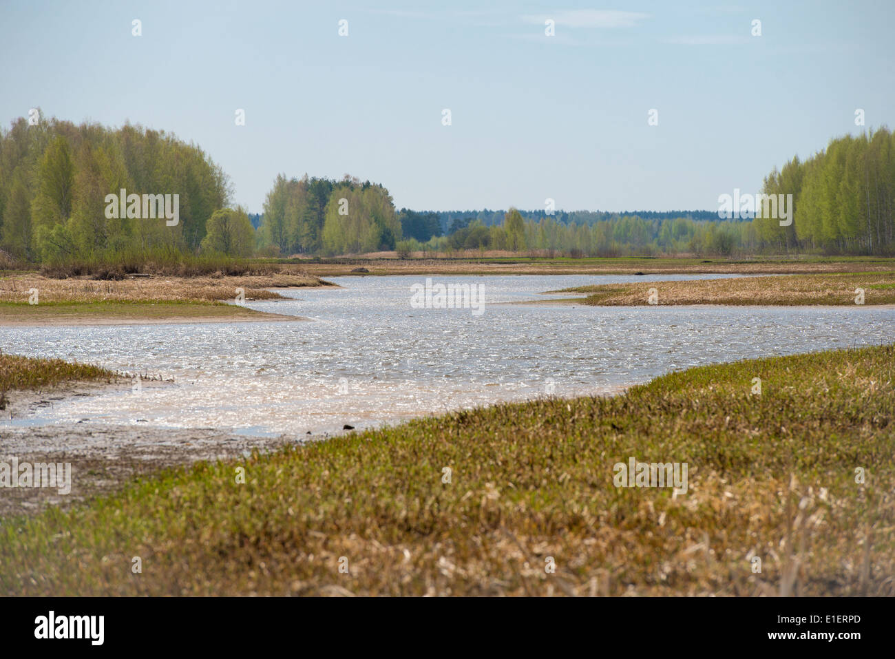 Spring landscape river bank hi-res stock photography and images - Alamy