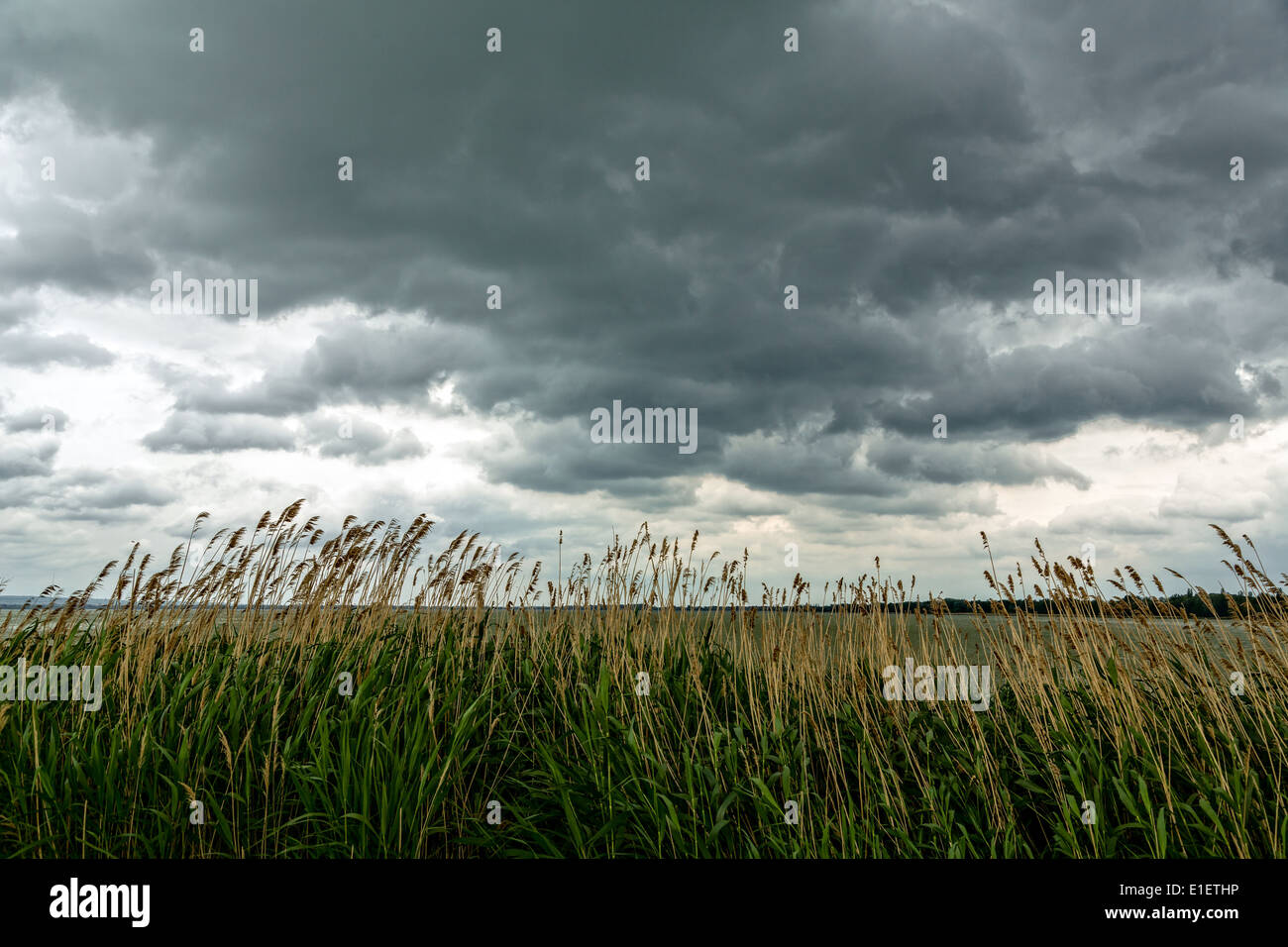 Storm over the lake Stock Photo - Alamy