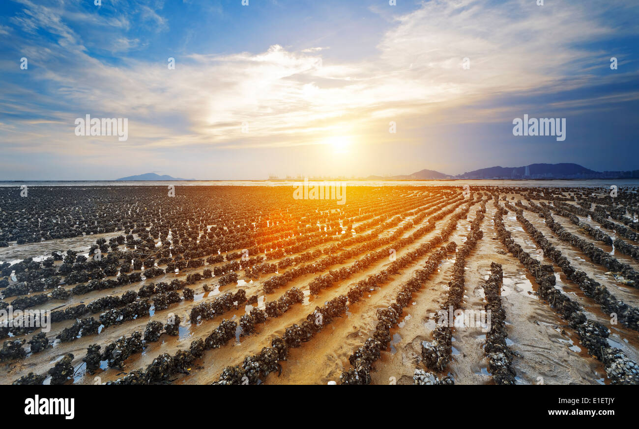 Lai yuen hi-res stock photography and images - Alamy