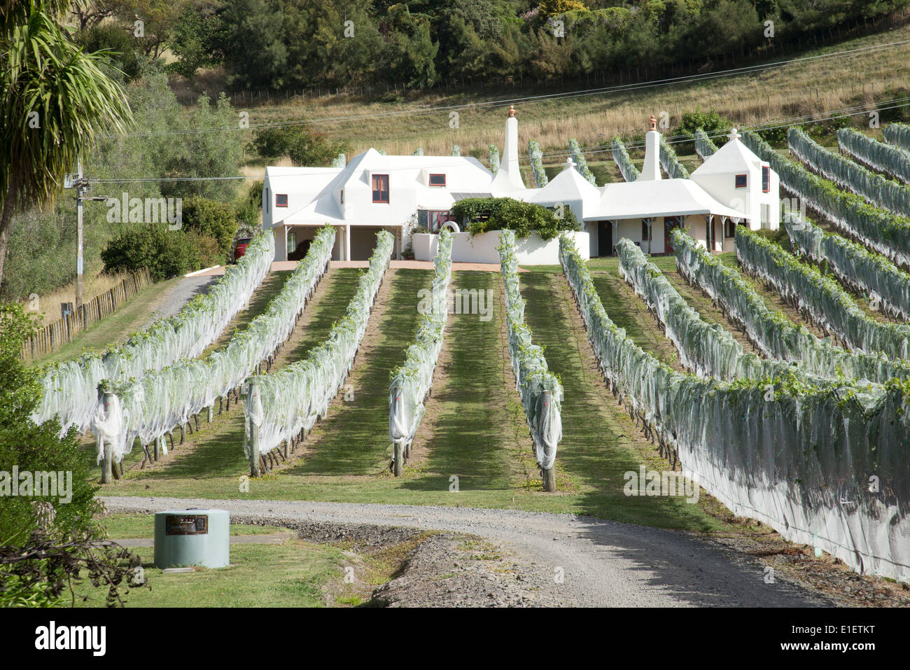 Te Mata Wine Estate at Havalock North in the Hawkes Bay region New ...