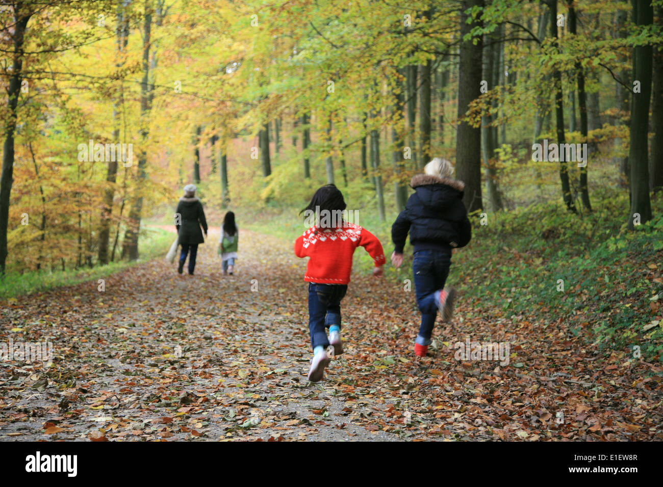 child running outdoor in forest Stock Photo - Alamy