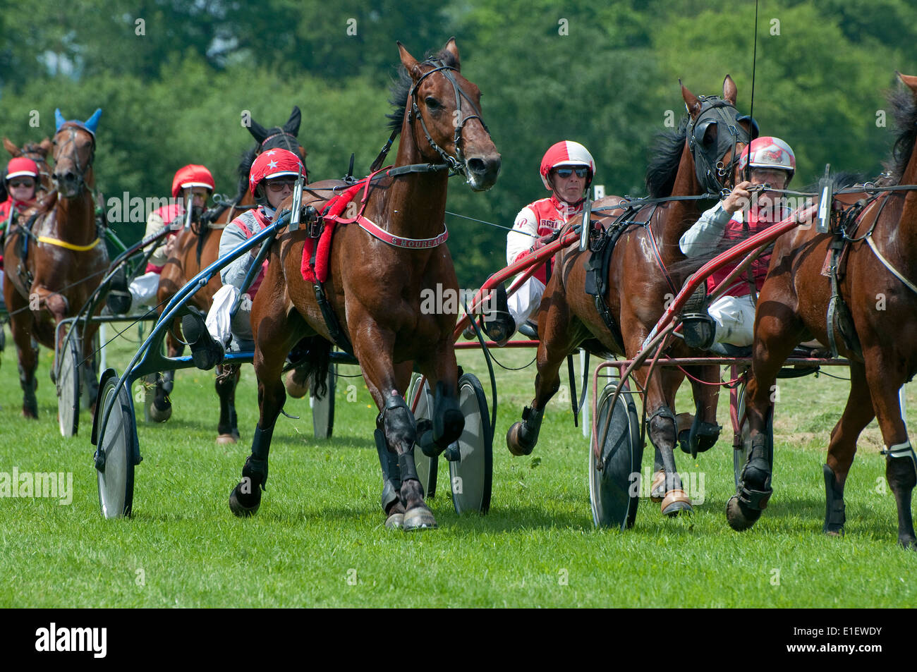 horse trotting, bourigny racecourse, normandy, france Stock Photo - Alamy