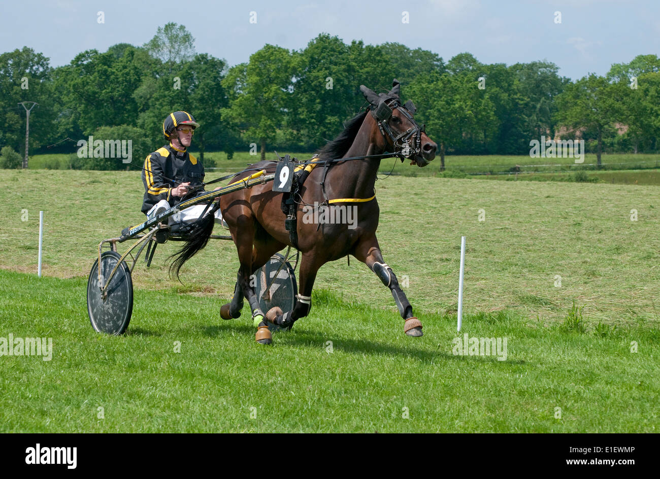 Trotting Track Stock Photos & Trotting Track Stock Images - Alamy