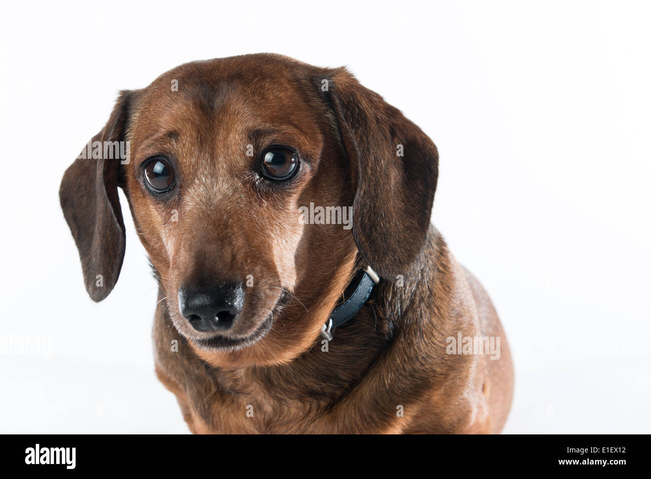 Studio headshot hi-res stock photography and images - Alamy