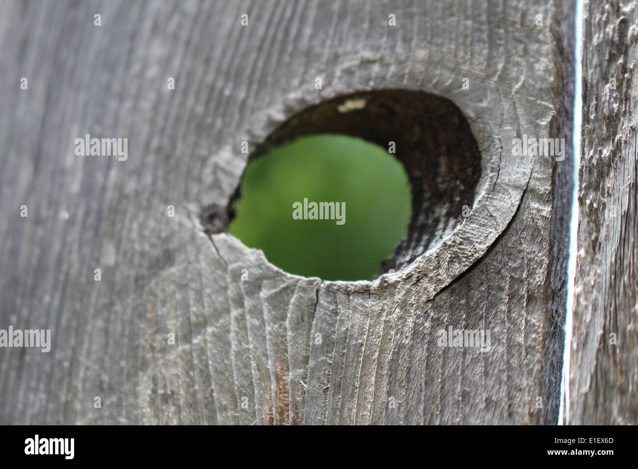Brown knothole hi-res stock photography and images - Alamy