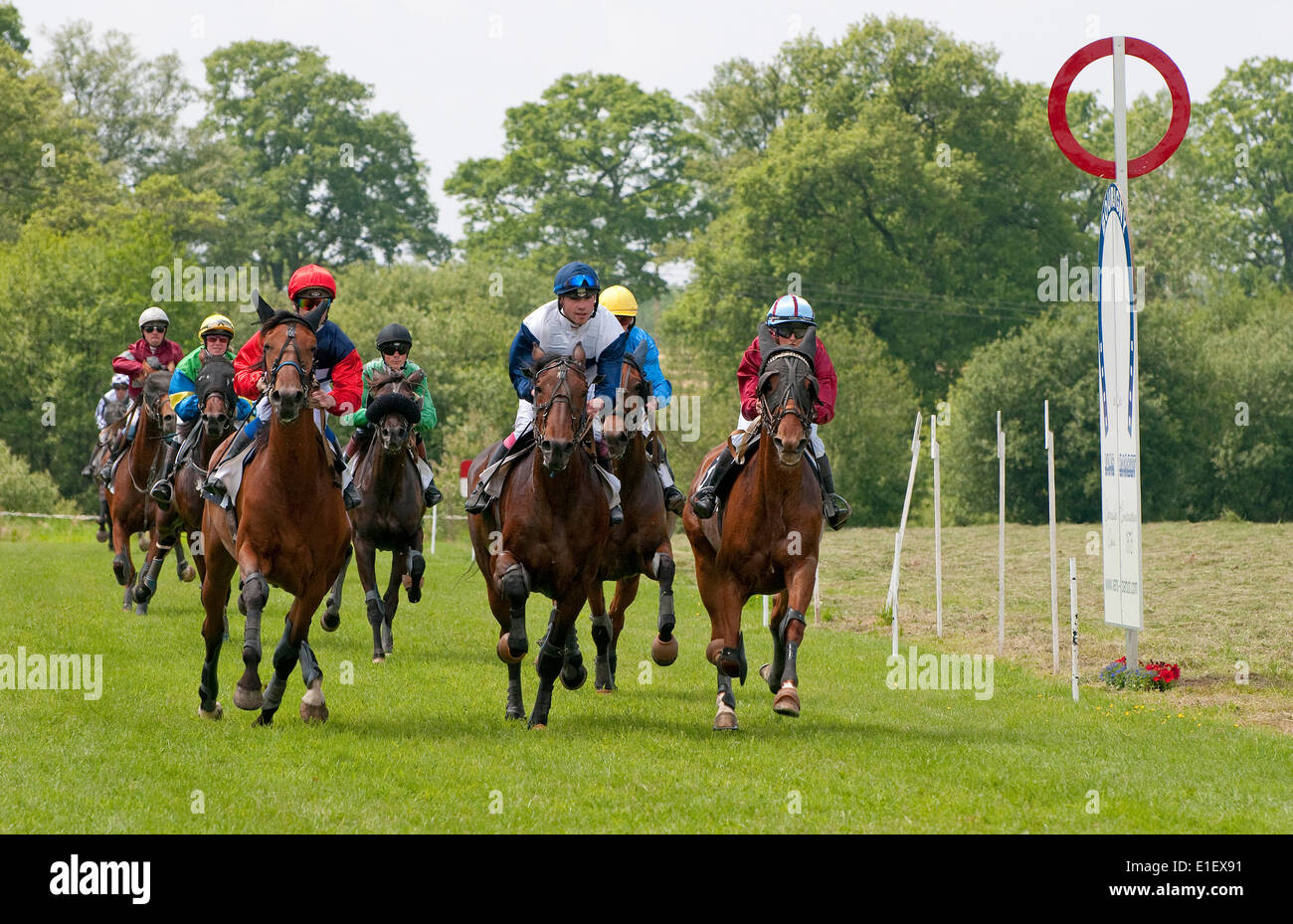Winning post and horse hi-res stock photography and images - Alamy