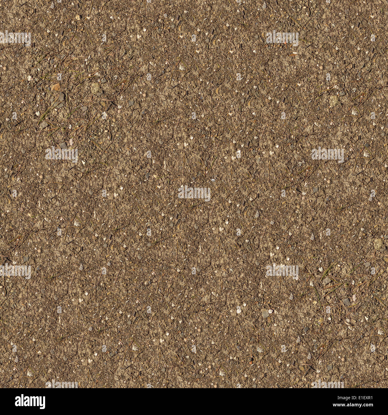 Dry Cracked Soil with Stones and Branches. Seamless Tileable Texture ...