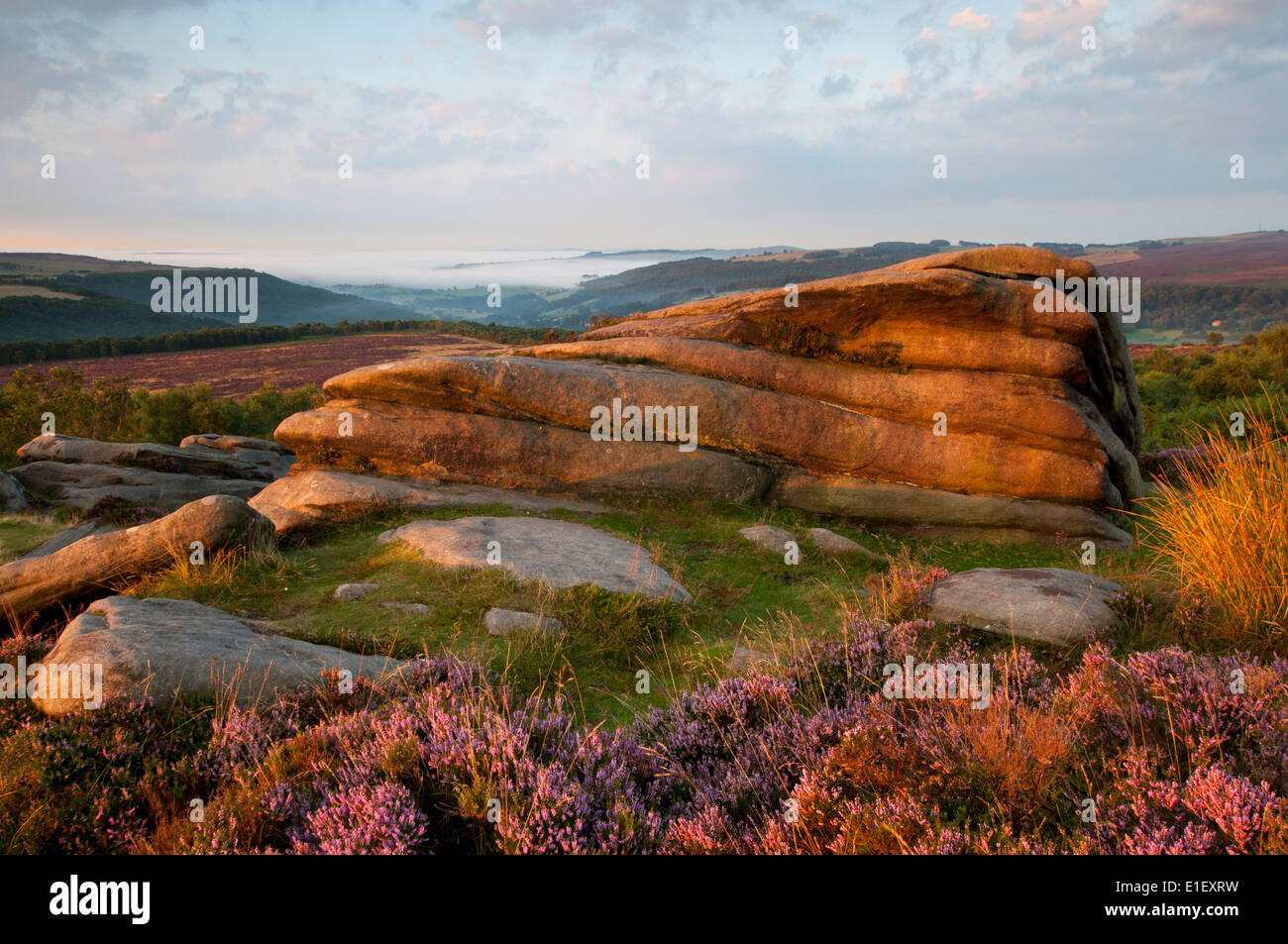 The surprise view hi-res stock photography and images - Alamy