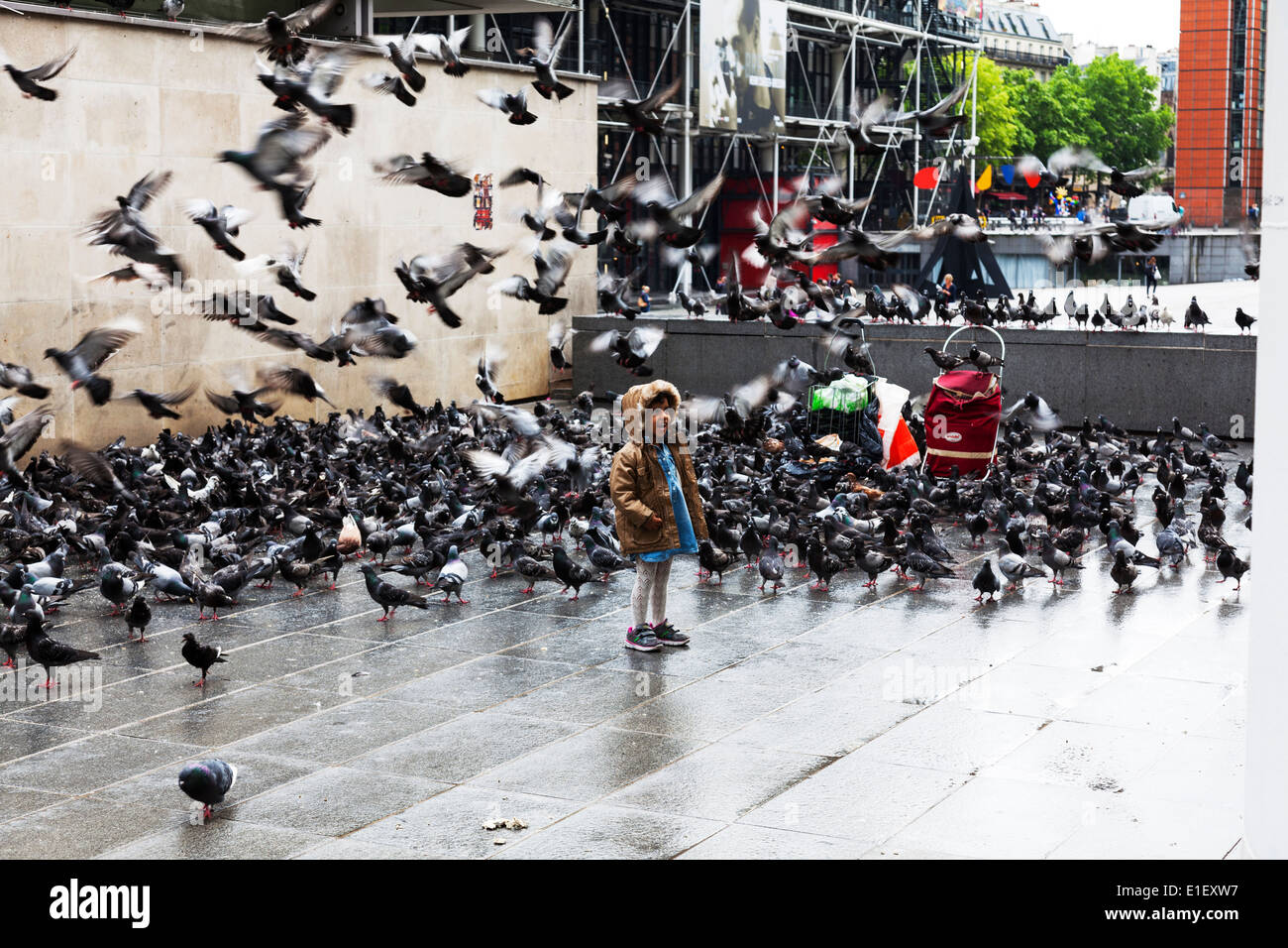 Young girl feeding huge flock of pigeons frenzy of birds Paris city ...