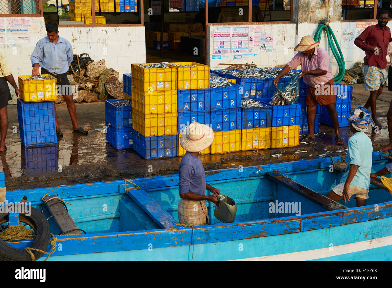 India, Kerala state, Calicut or kozhikode, fishing harbour Stock Photo ...