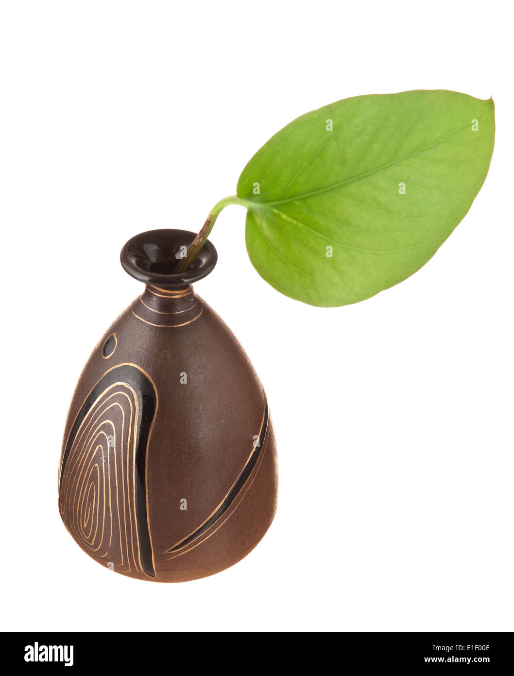 green leaf in vase isolated on white background Stock Photo - Alamy