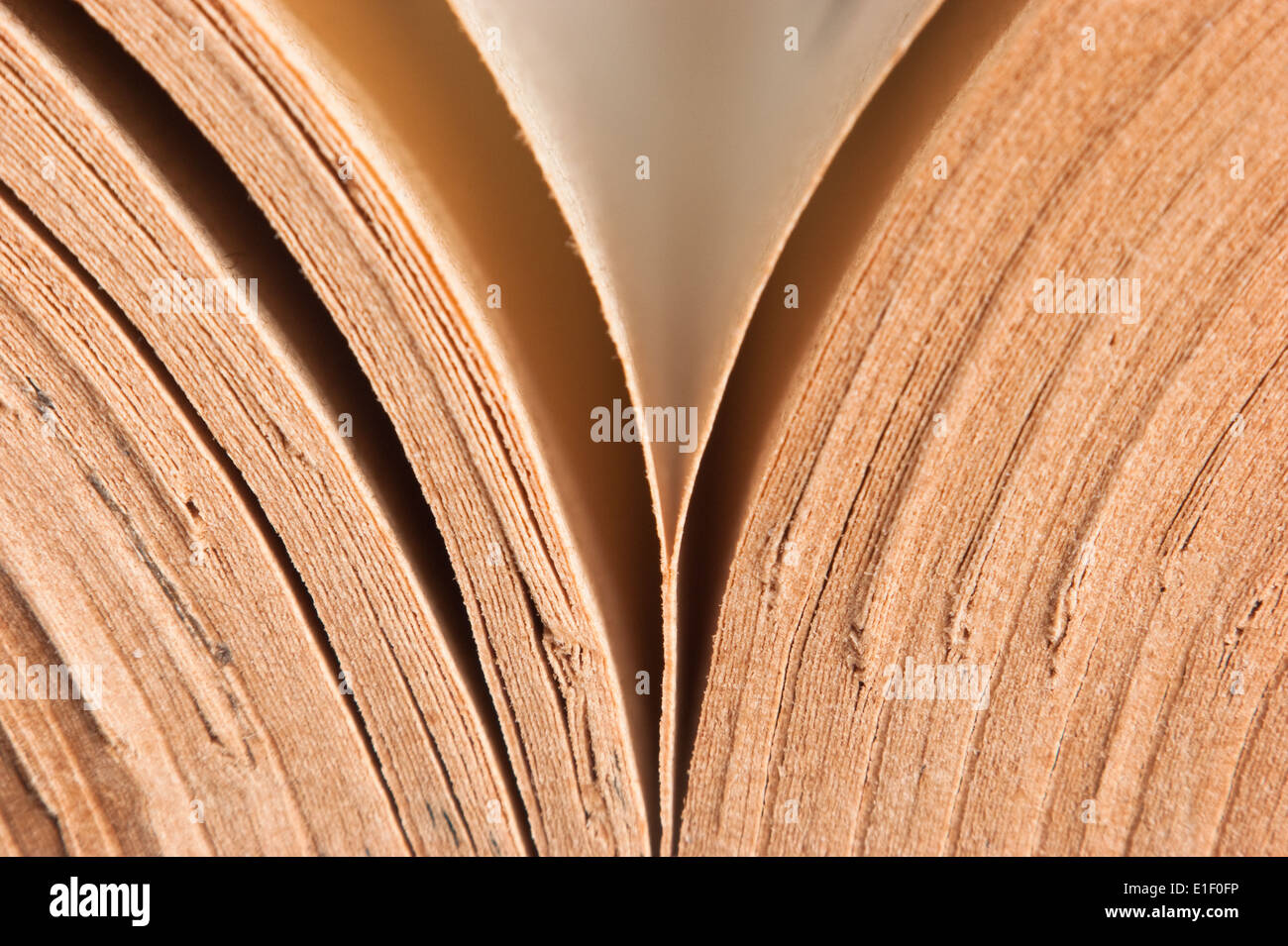 Traditional book binding hi-res stock photography and images - Alamy