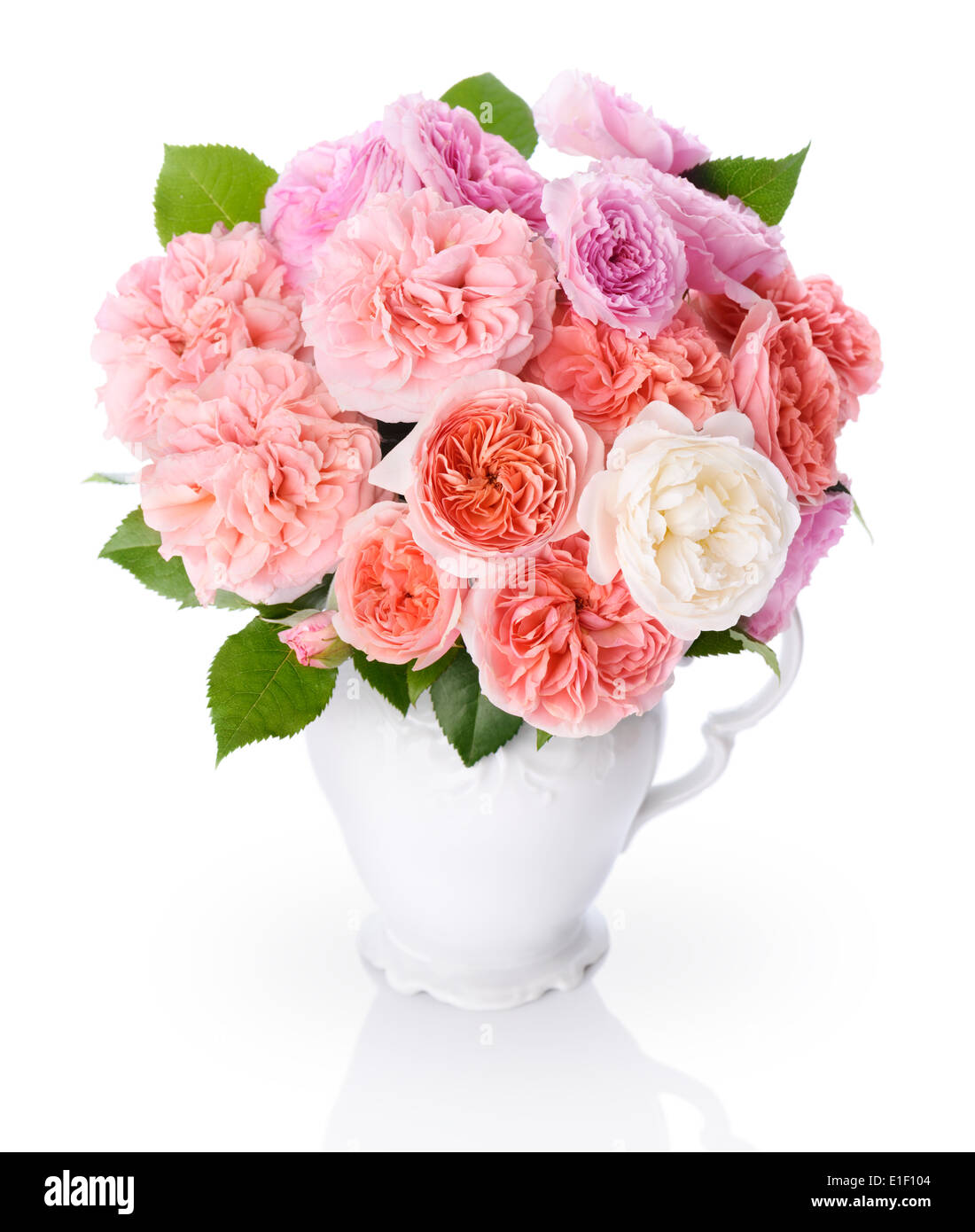 Antique roses Stock Photo - Alamy