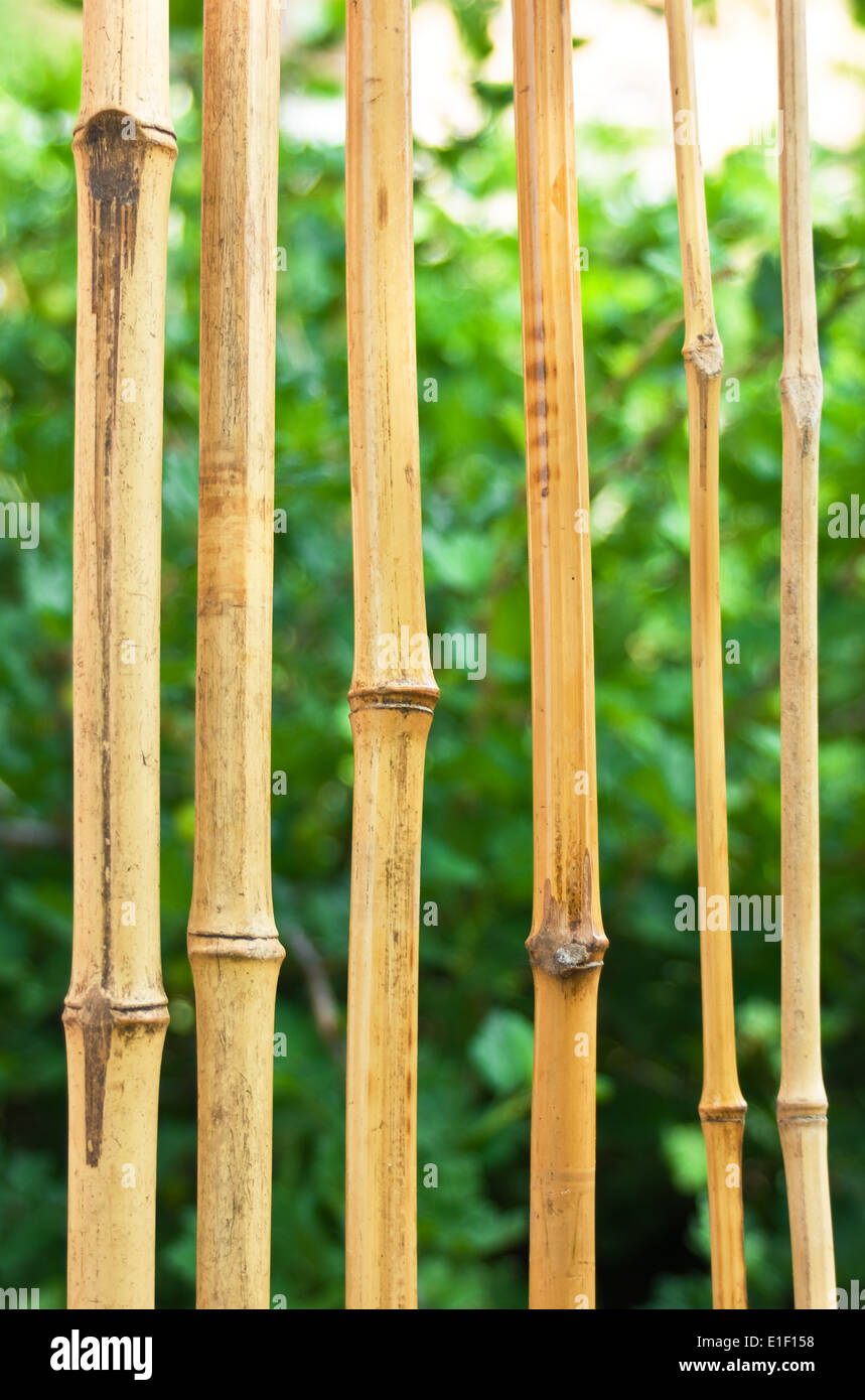 Bamboo fence wall vertical hi-res stock photography and images - Alamy