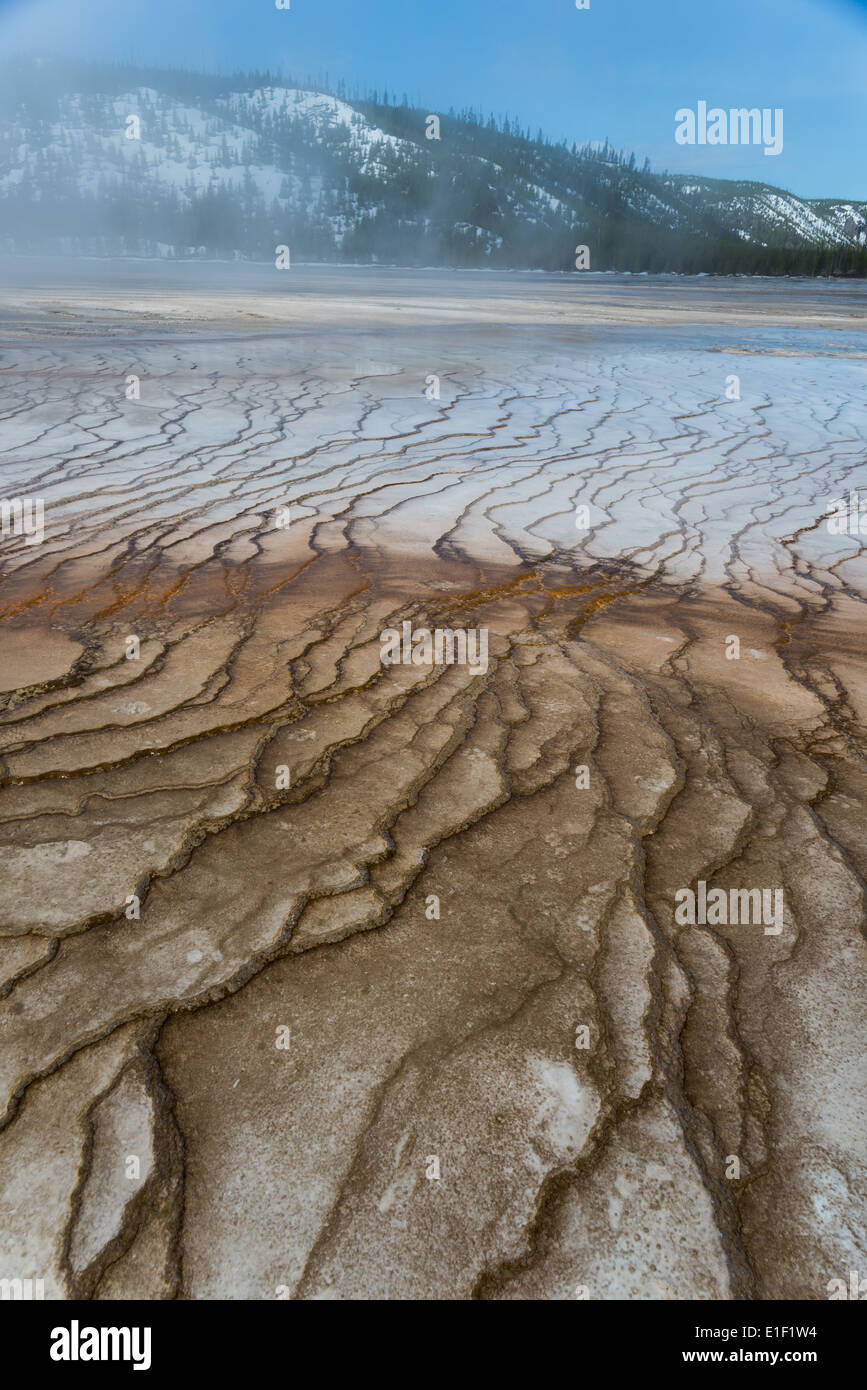 Terrace pools at the Grand Prismatic Spring. Yellowstone National Park ...
