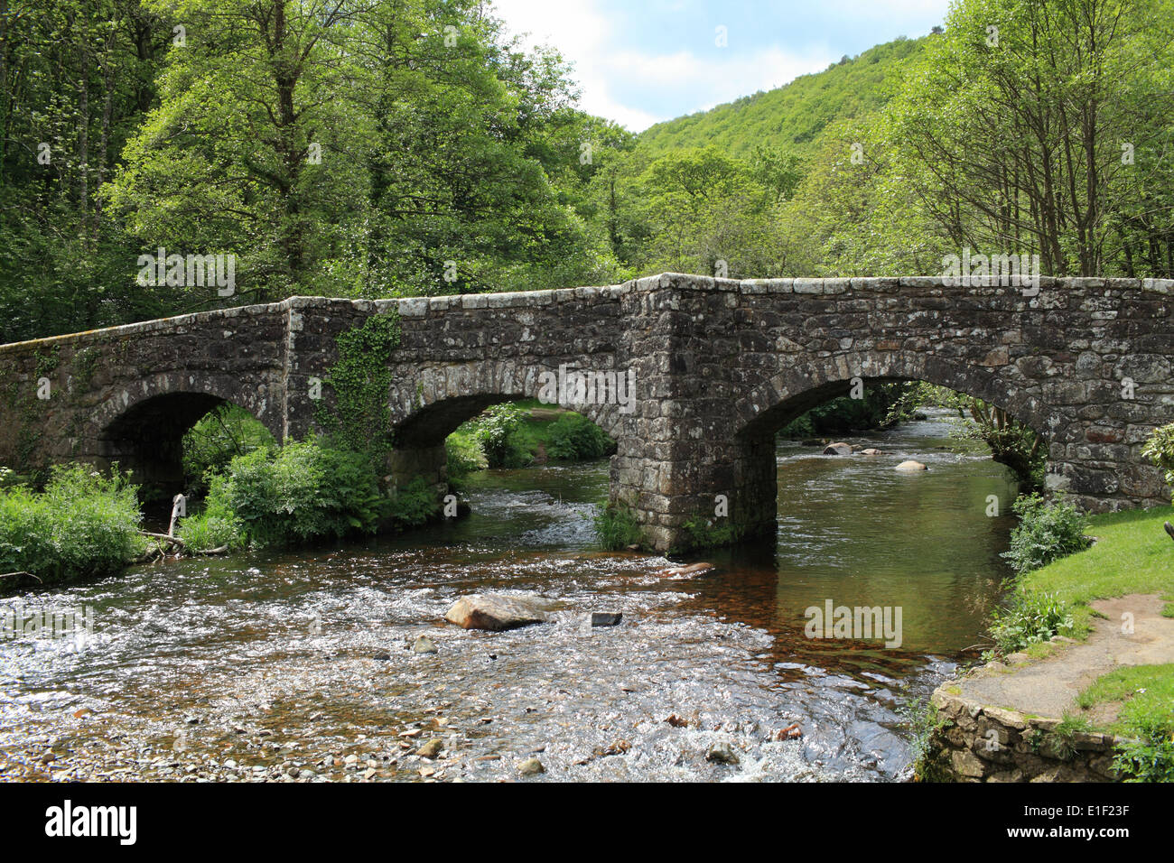 Fingle Bridge, Dartmoor, Devon, England, UK Stock Photo - Alamy