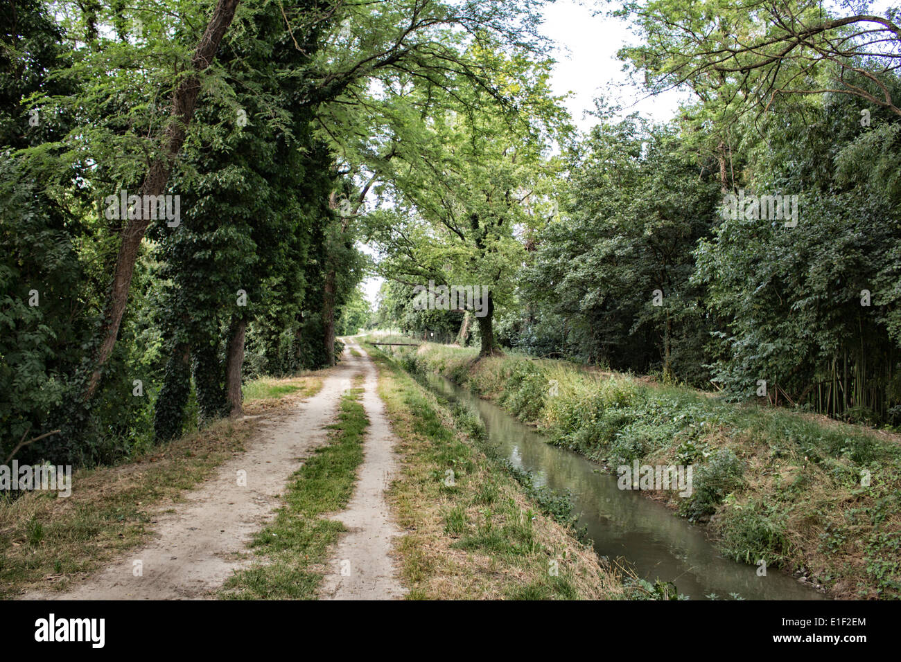 Walking among trees and plants along a water channel in Italian ...