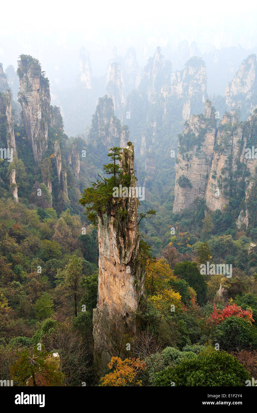 China, Hunan Province, Zhangjiajie, Wulingyuan Scenic Area, Zhangjiajie ...
