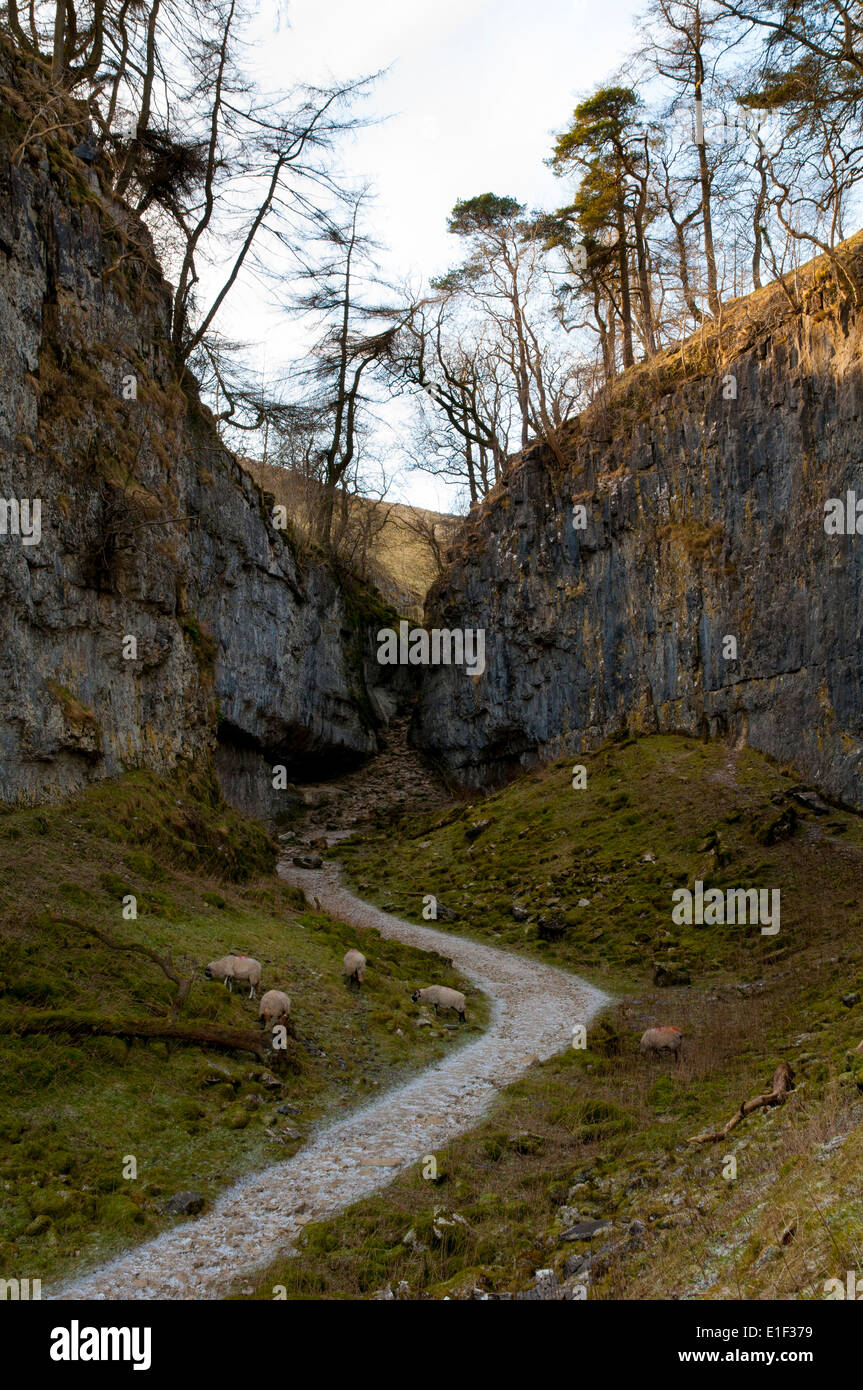 The footpath ascending Ingleborough from Clapham through the ravine of ...