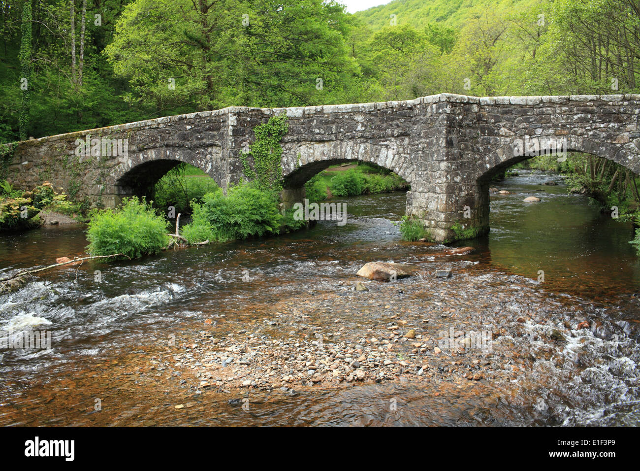 Fingle Bridge, Dartmoor, Devon, England, UK Stock Photo - Alamy