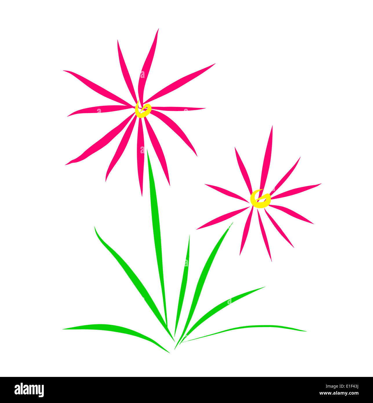 Pink flower drawing hi-res stock photography and images - Alamy