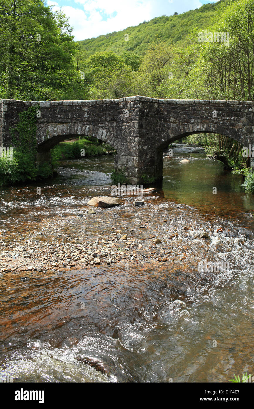 Fingle Bridge, Dartmoor, Devon, England, UK Stock Photo - Alamy