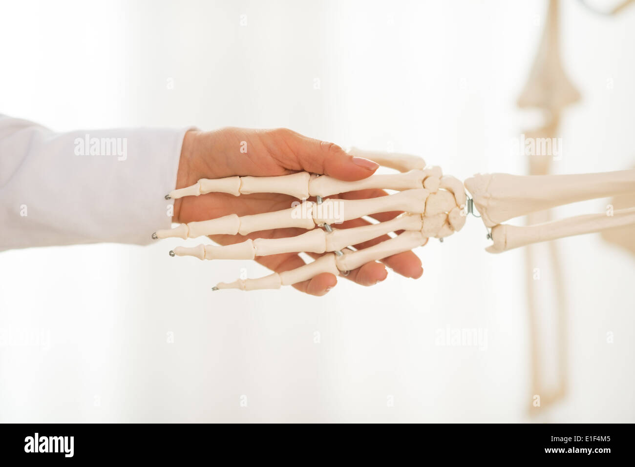 Skeleton handshake hi-res stock photography and images - Alamy