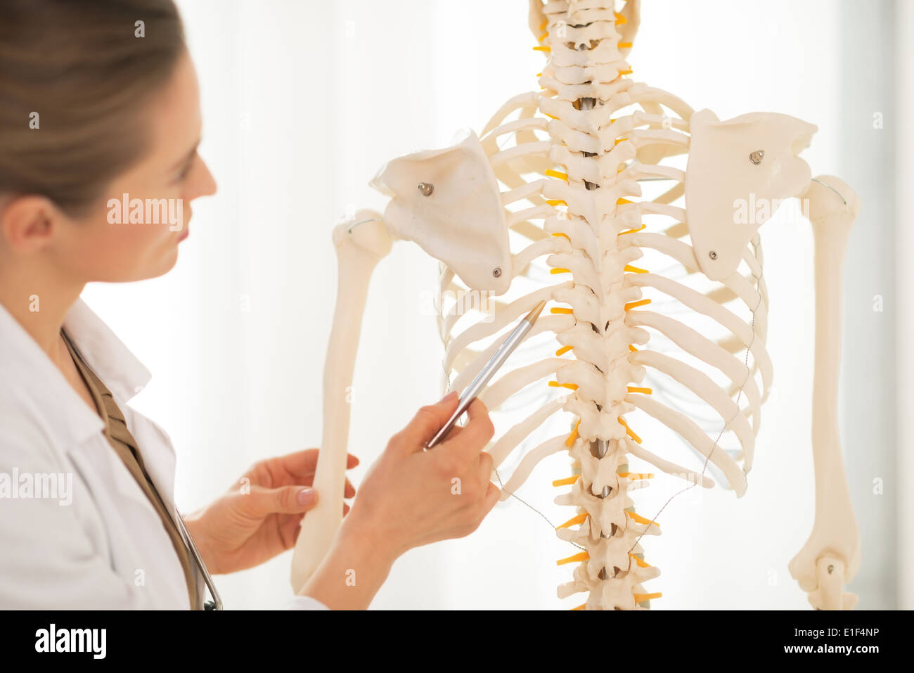 Skeleton hand pointing hi-res stock photography and images - Alamy
