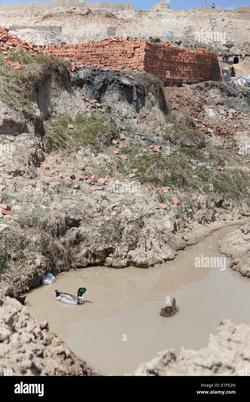 Godawari, Kathmandu, Nepal Stock Photo - Alamy