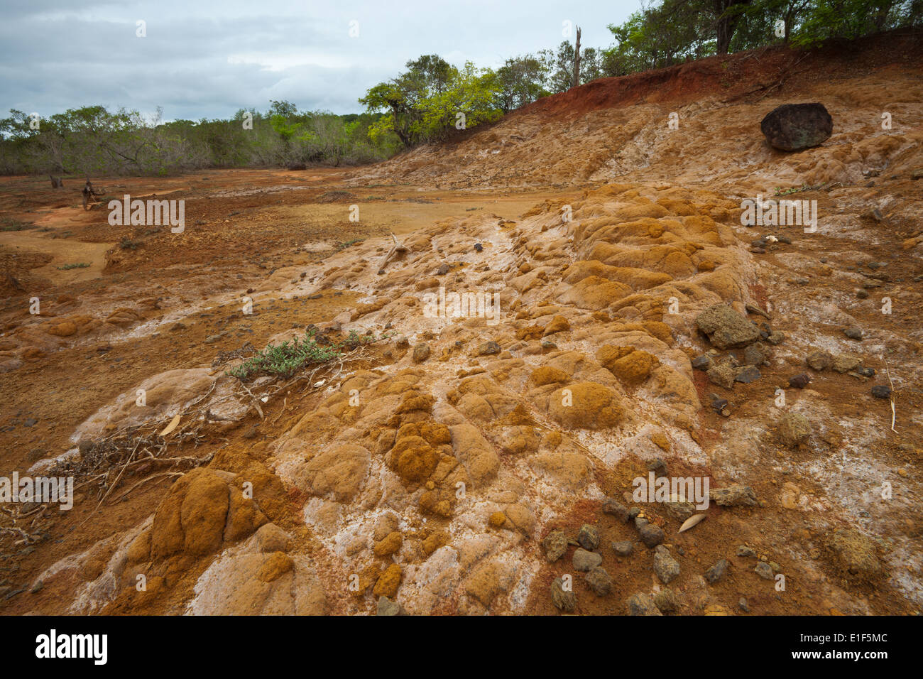 Eroded soil and volcanic rock in Sarigua national park (desert) in the ...