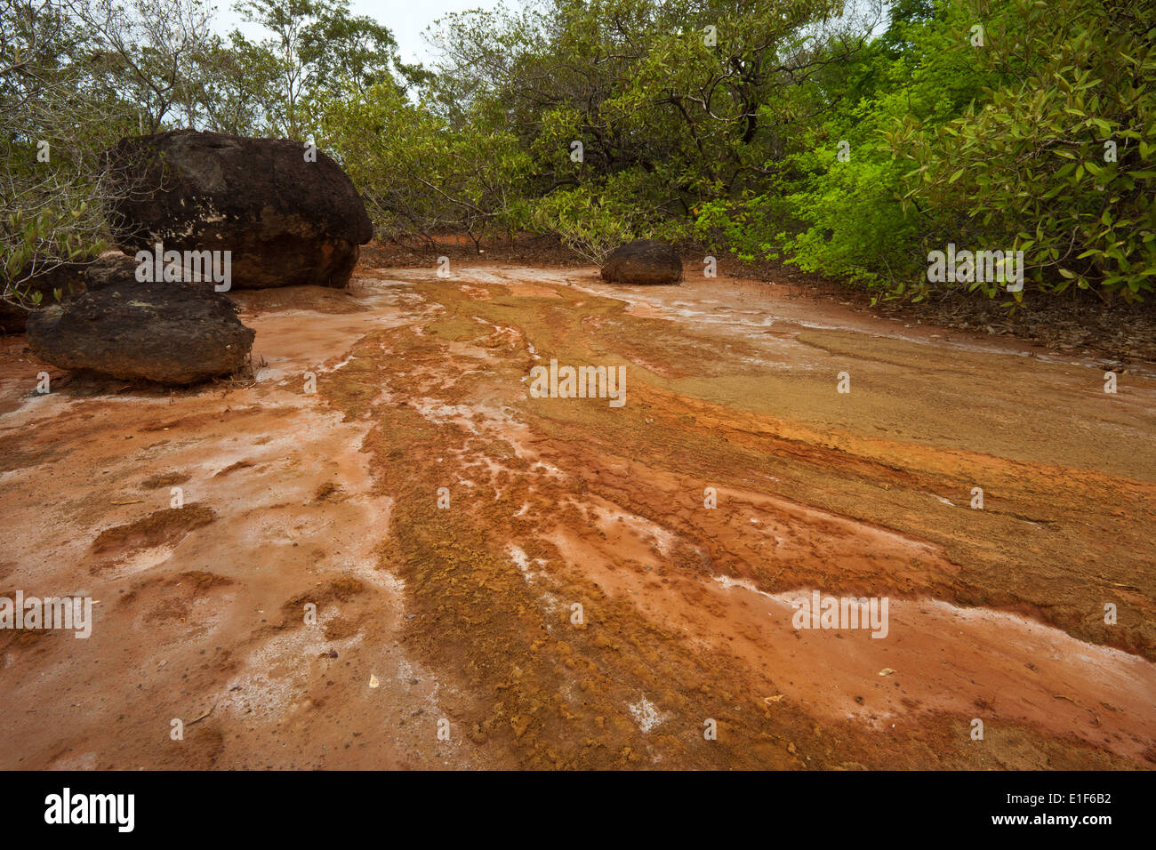 Eroded landscape in Sarigua national park (desert) in the Herrera ...