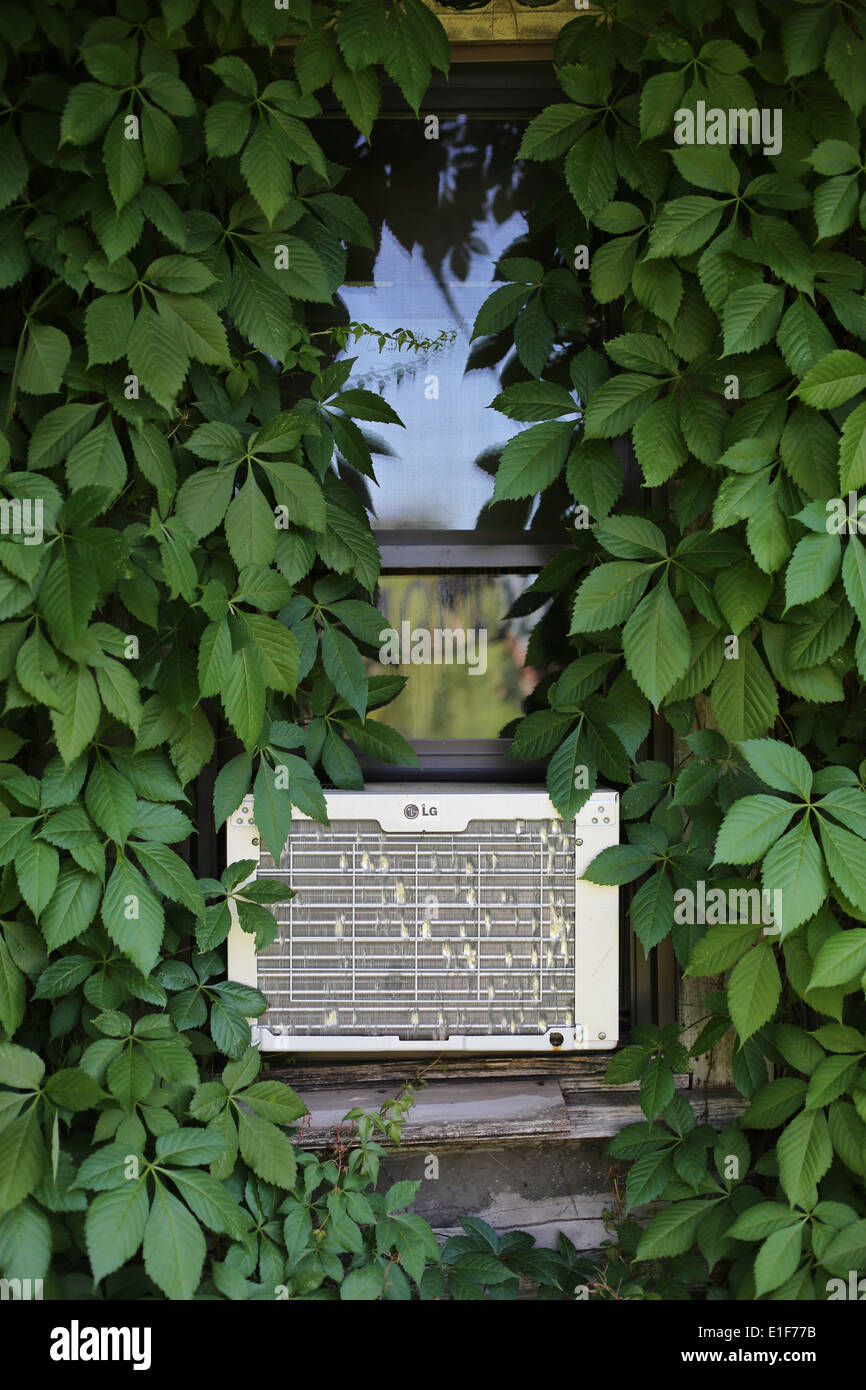 An old window unit air conditioner, surrounded by vines and leaves ...