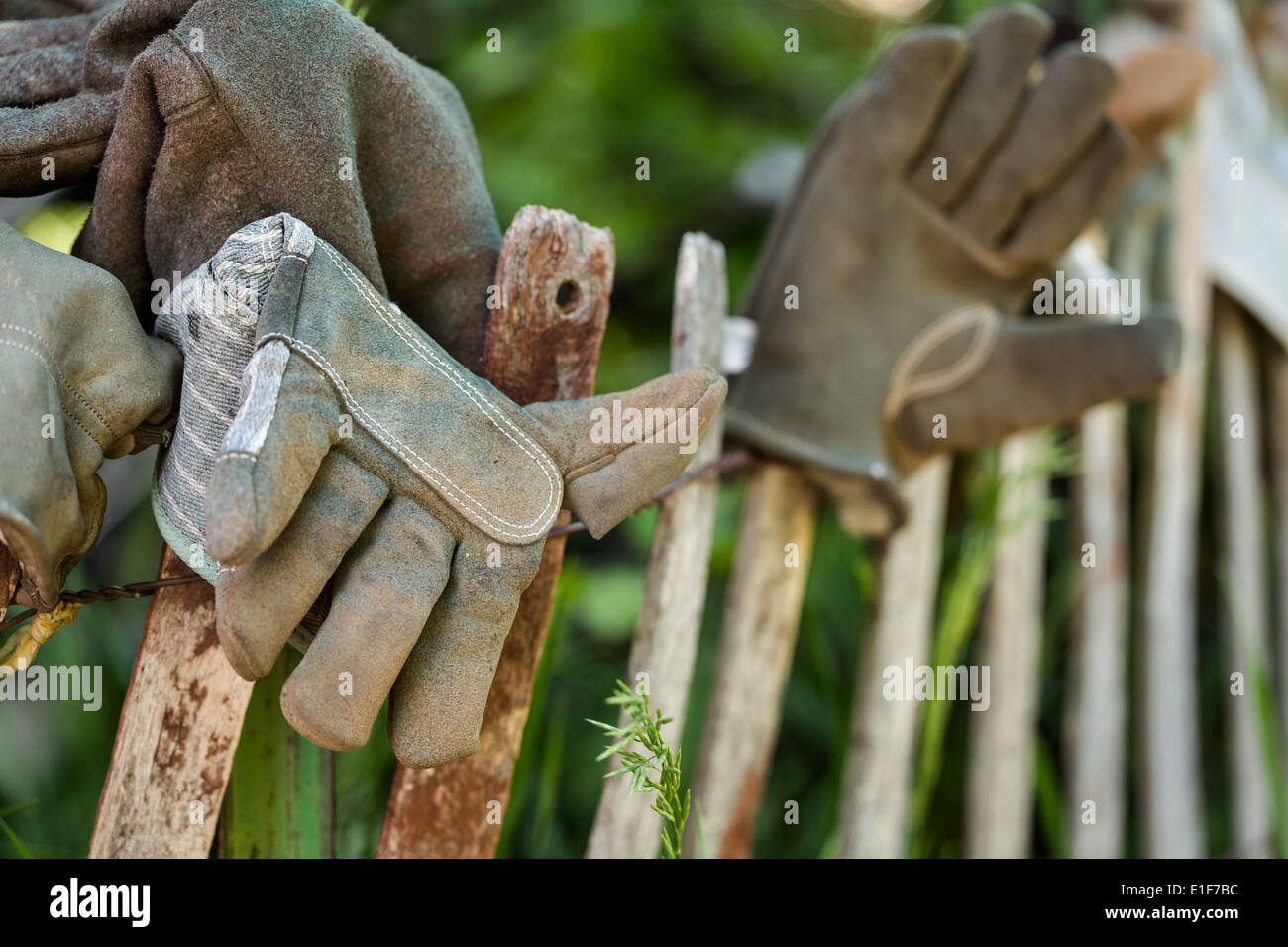 Fence decorated with old work gloves Stock Photo - Alamy