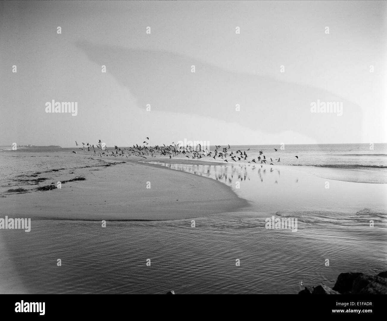 Year round beauty Black and White Stock Photos & Images - Alamy