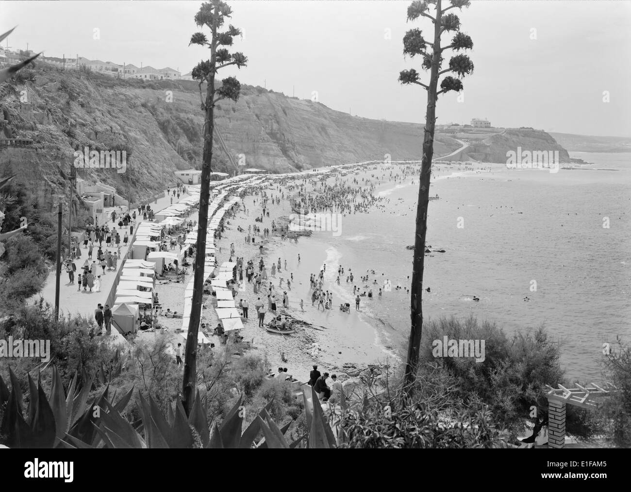 Praia da Ericeira is a scenic coastal area in Portugal, known for its ...