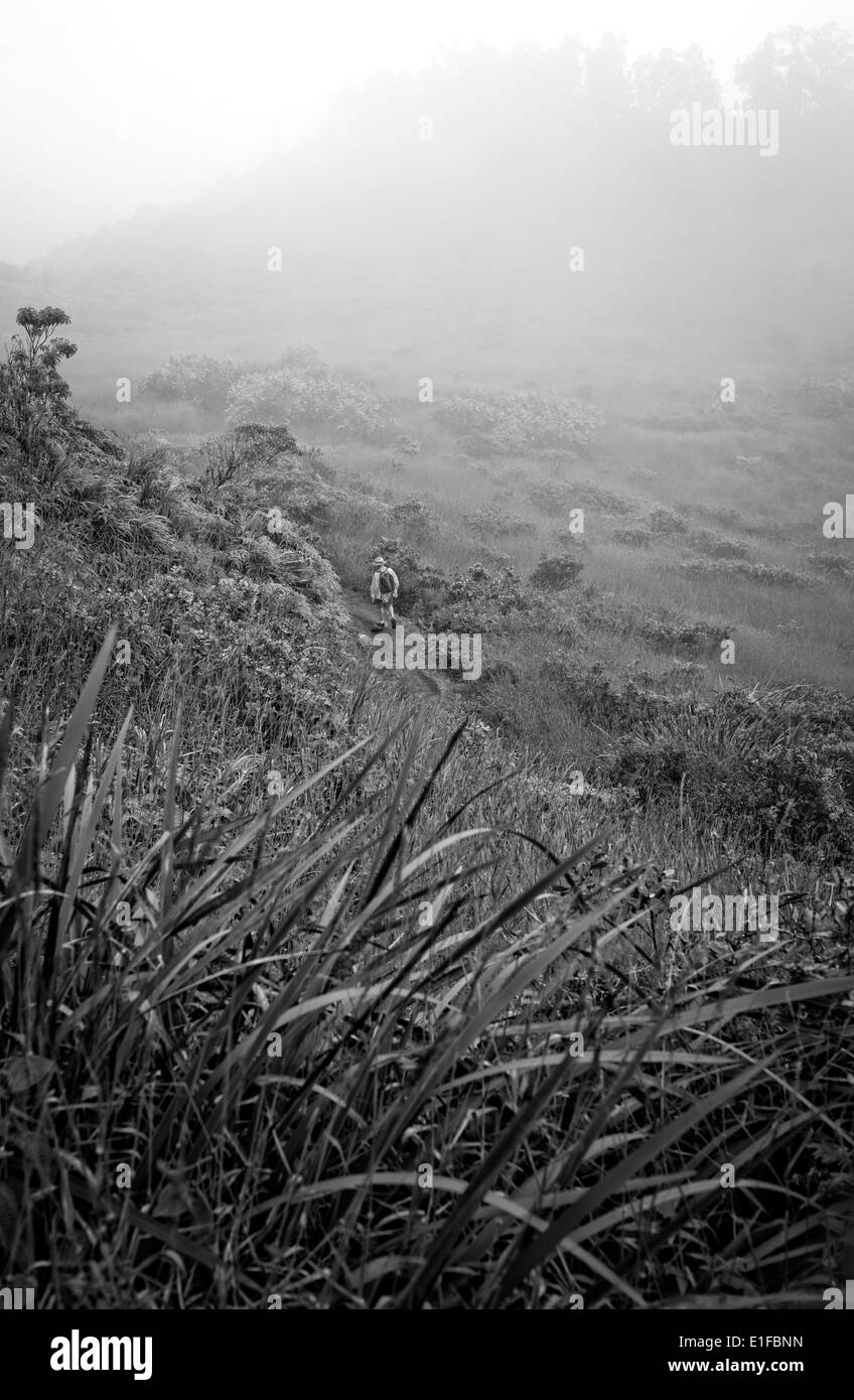 The jungle boy Black and White Stock Photos & Images - Alamy