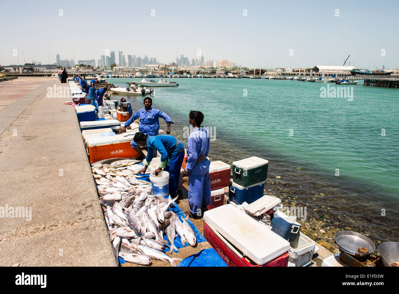 Bangladeshi fishermen selling fish at the Doha promenade Stock Photo ...