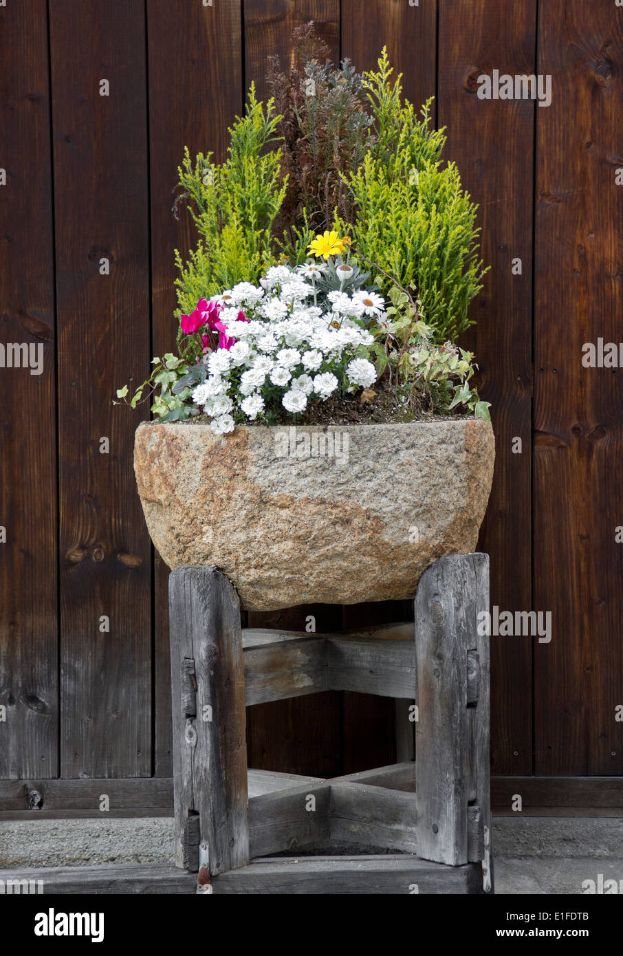 Stone flower pot with nice arrangement of plants and flowers Stock ...