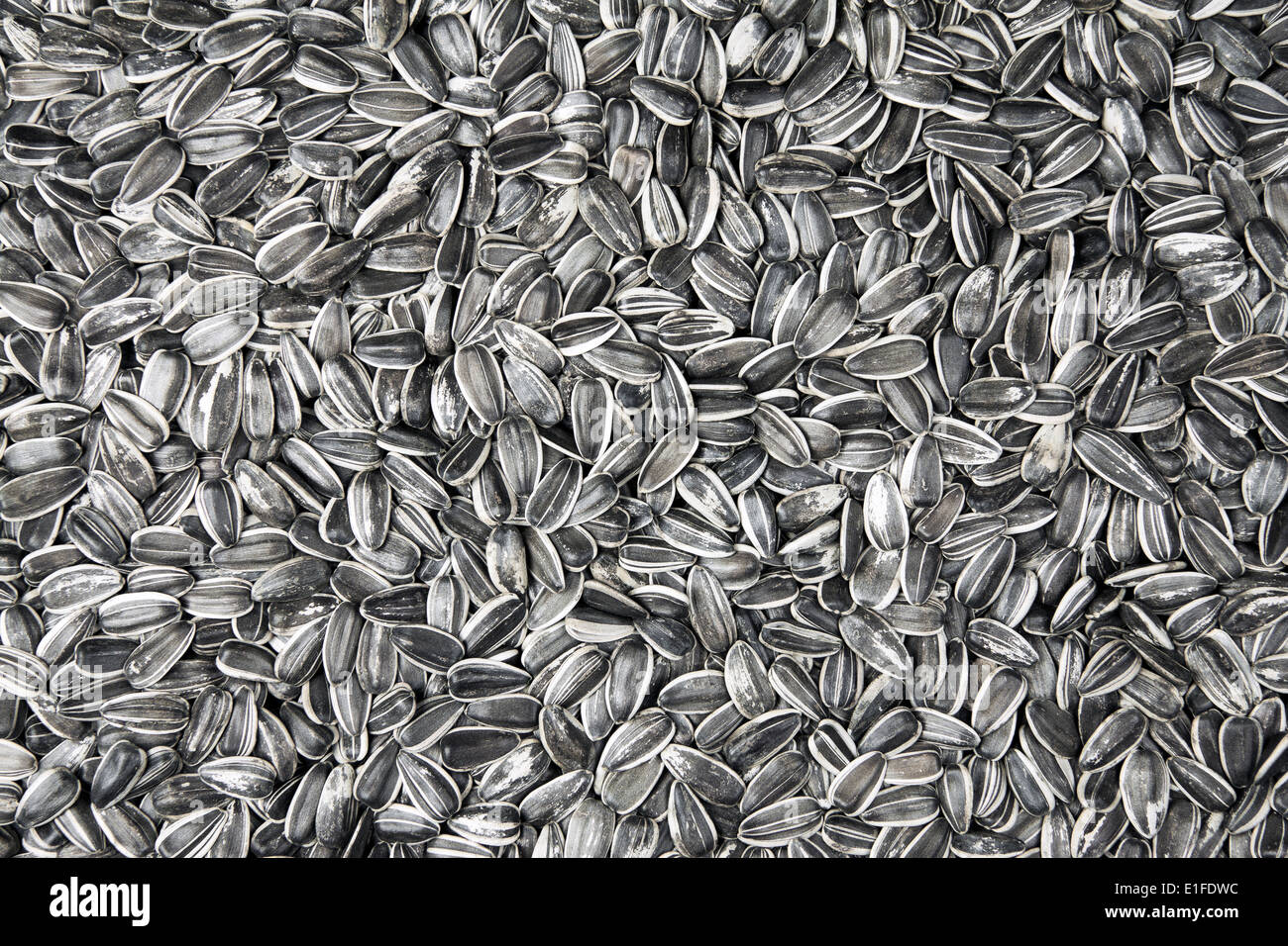 Sunflower seeds background, natural texture and background Stock Photo ...