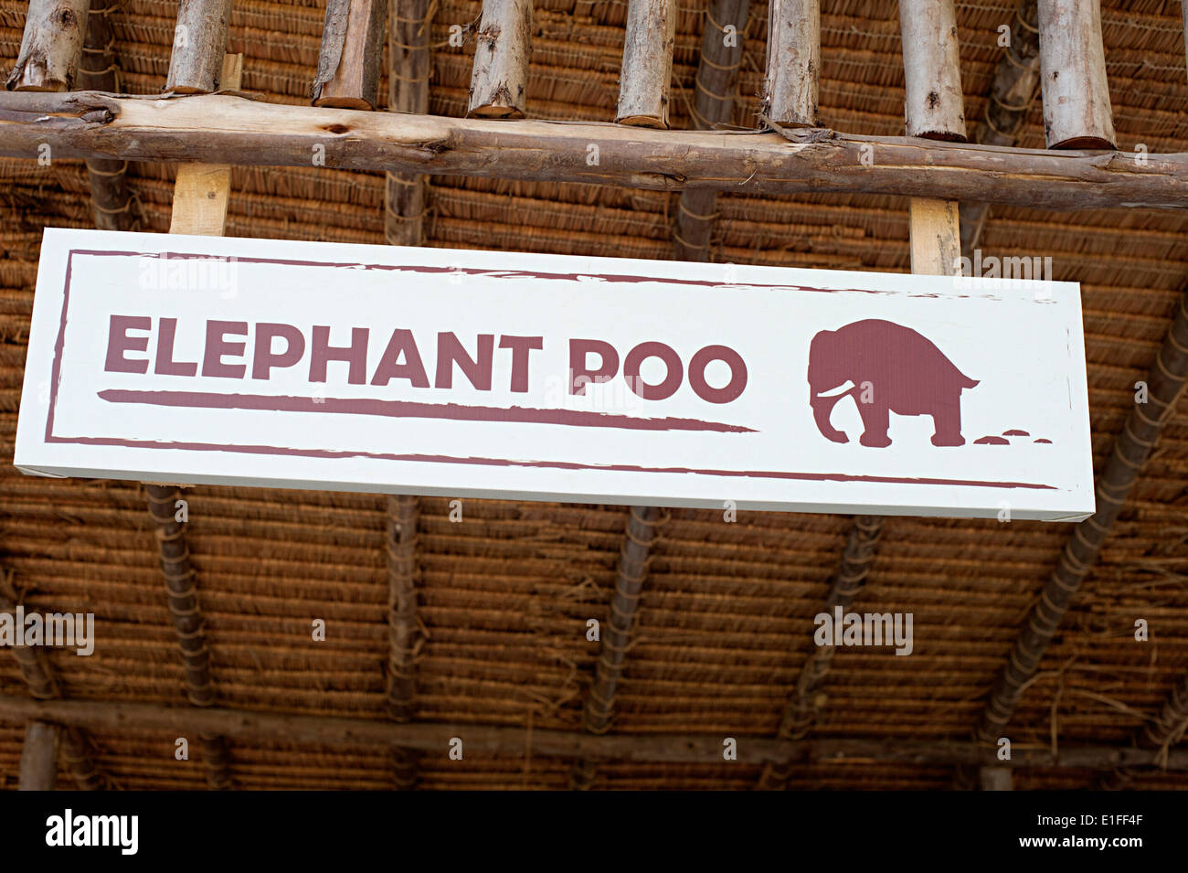 Elephant Poo sign in Elephant Poopoopaper making Park in Chiang Mai ...