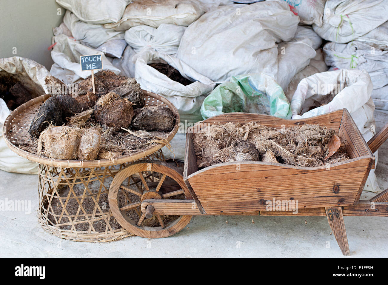 Dried elephant poo displayed in wooden wheelbarrow in Elephant ...