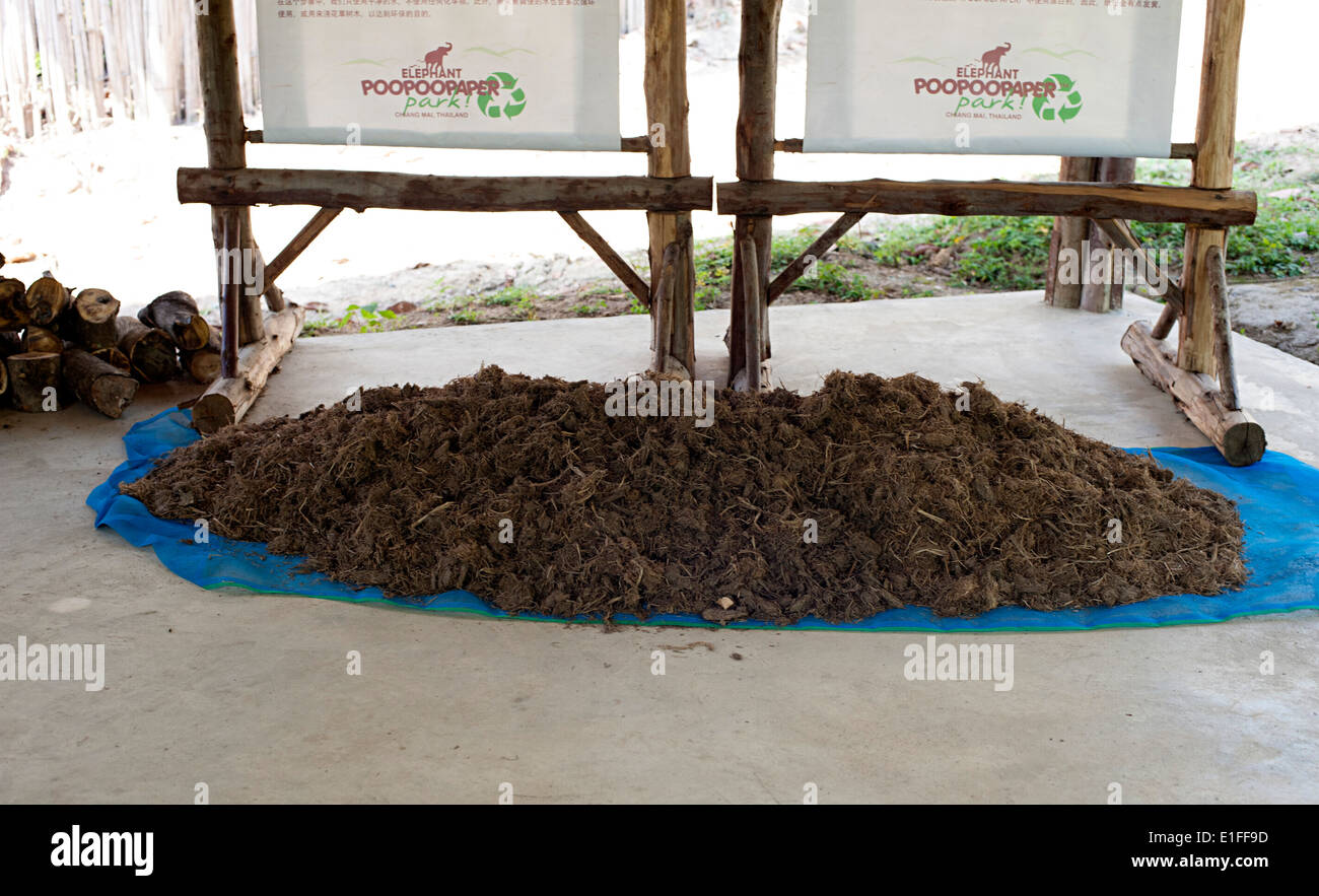 Elephant Poopoopaper making Park in Chiang Mai, Thailand Stock Photo ...